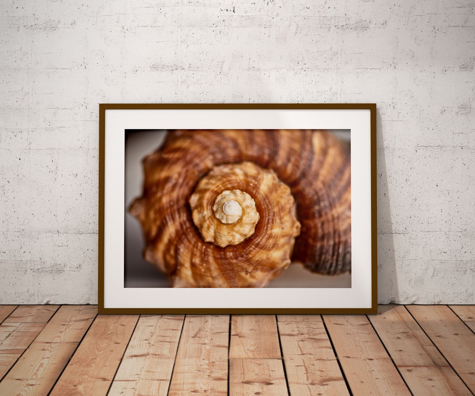 Seashell Printable Photography, Digital Download, Seashell Wall Art ...