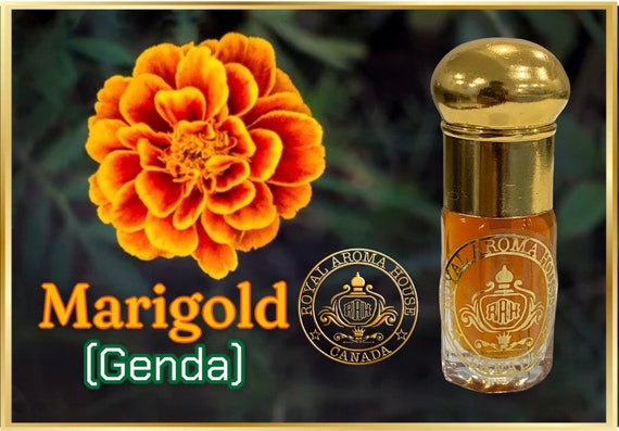 Marigold Oil Genda Natural Organic | Etsy