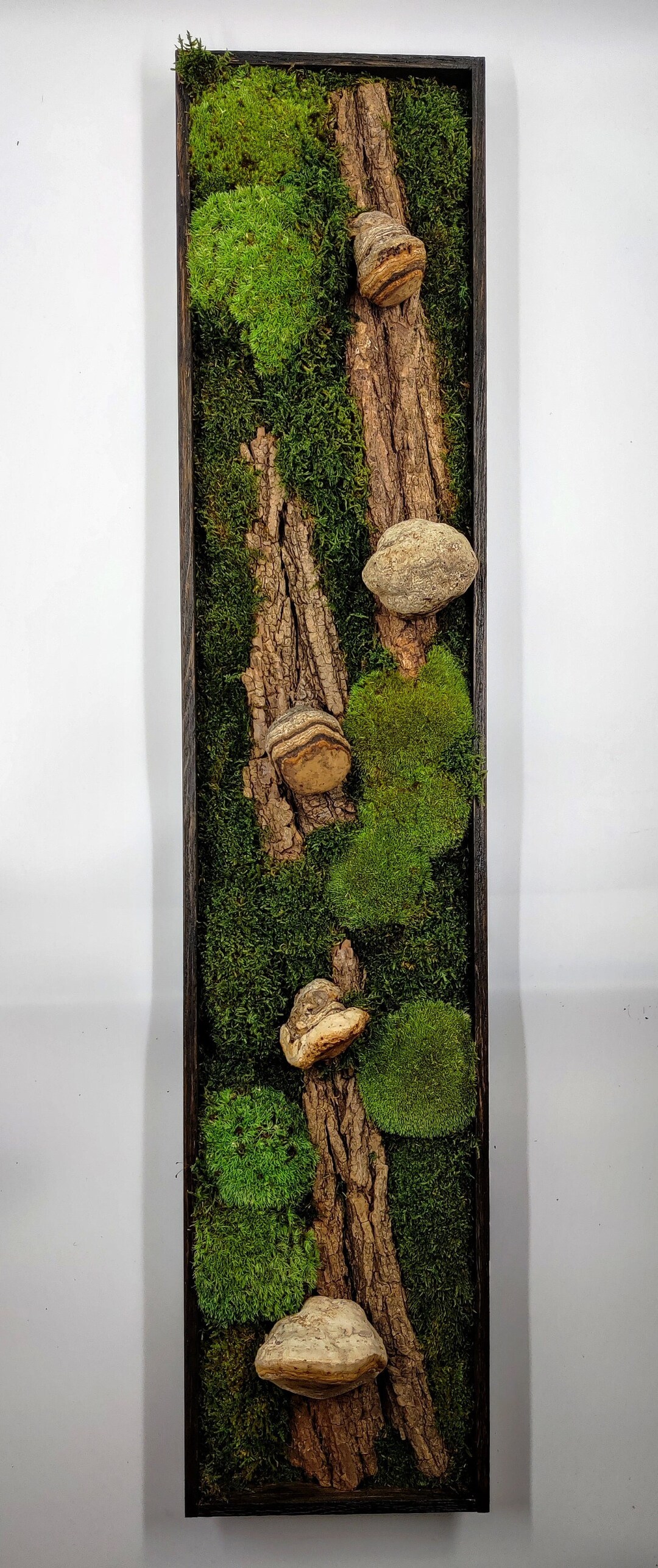 100x20 Cm Moss Wall Art • Preserved Moss Frame • Vertical Wall Decor ...