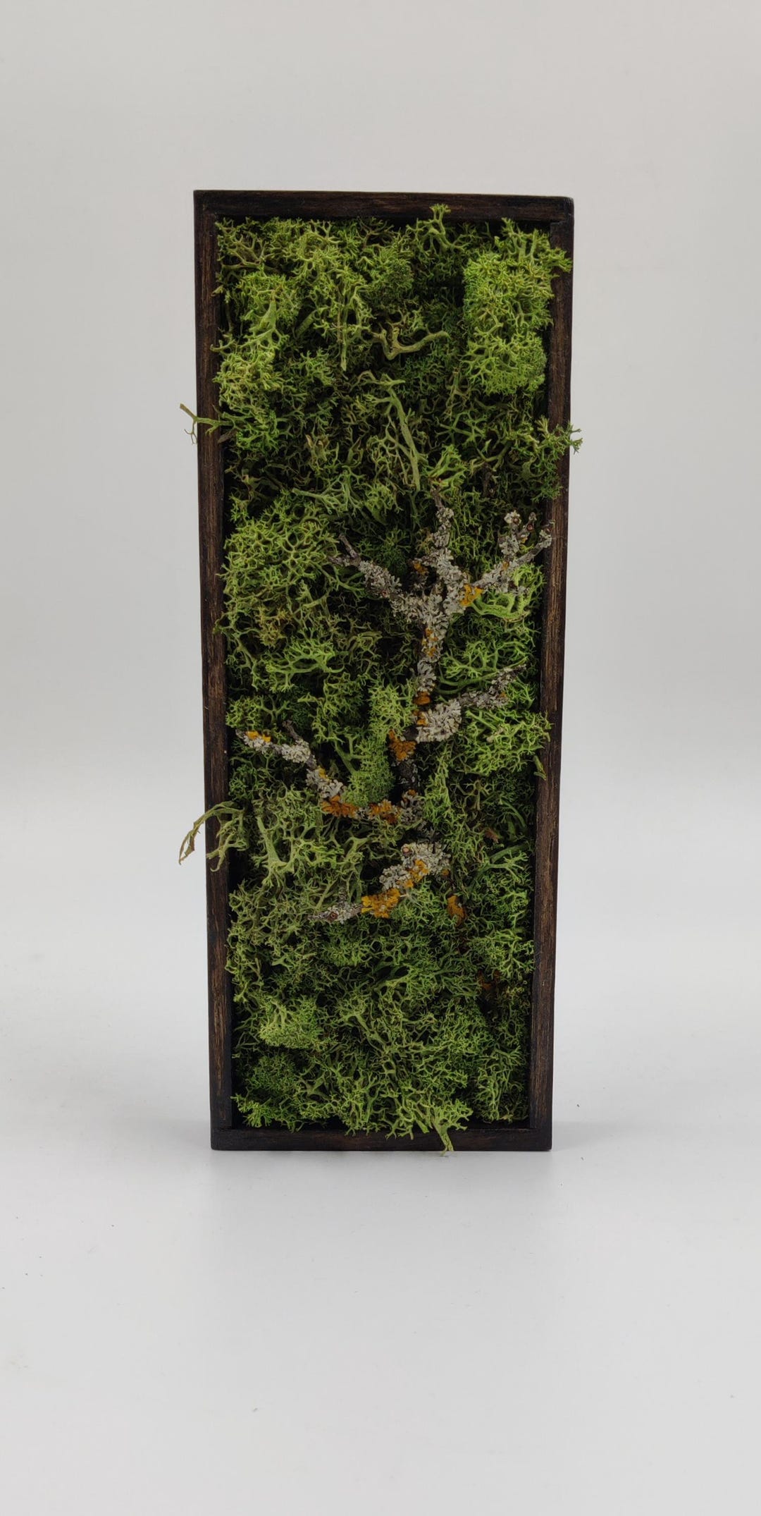 Preserved Moss Small Art Frame • Rustic Moss Wall Decor • Indoor Garden ...