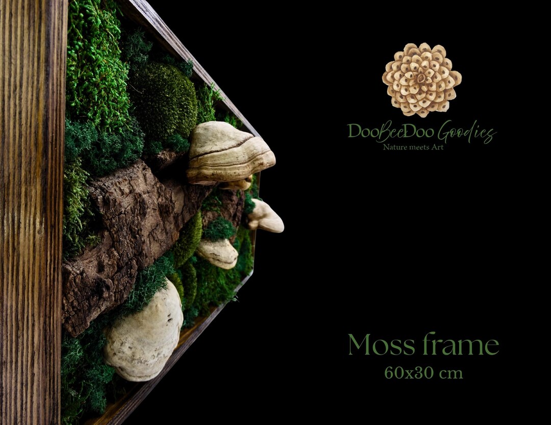 Moss Frame 60x30 Cm • Forest Wall Art • Nature Decor • Rustic Interior ...