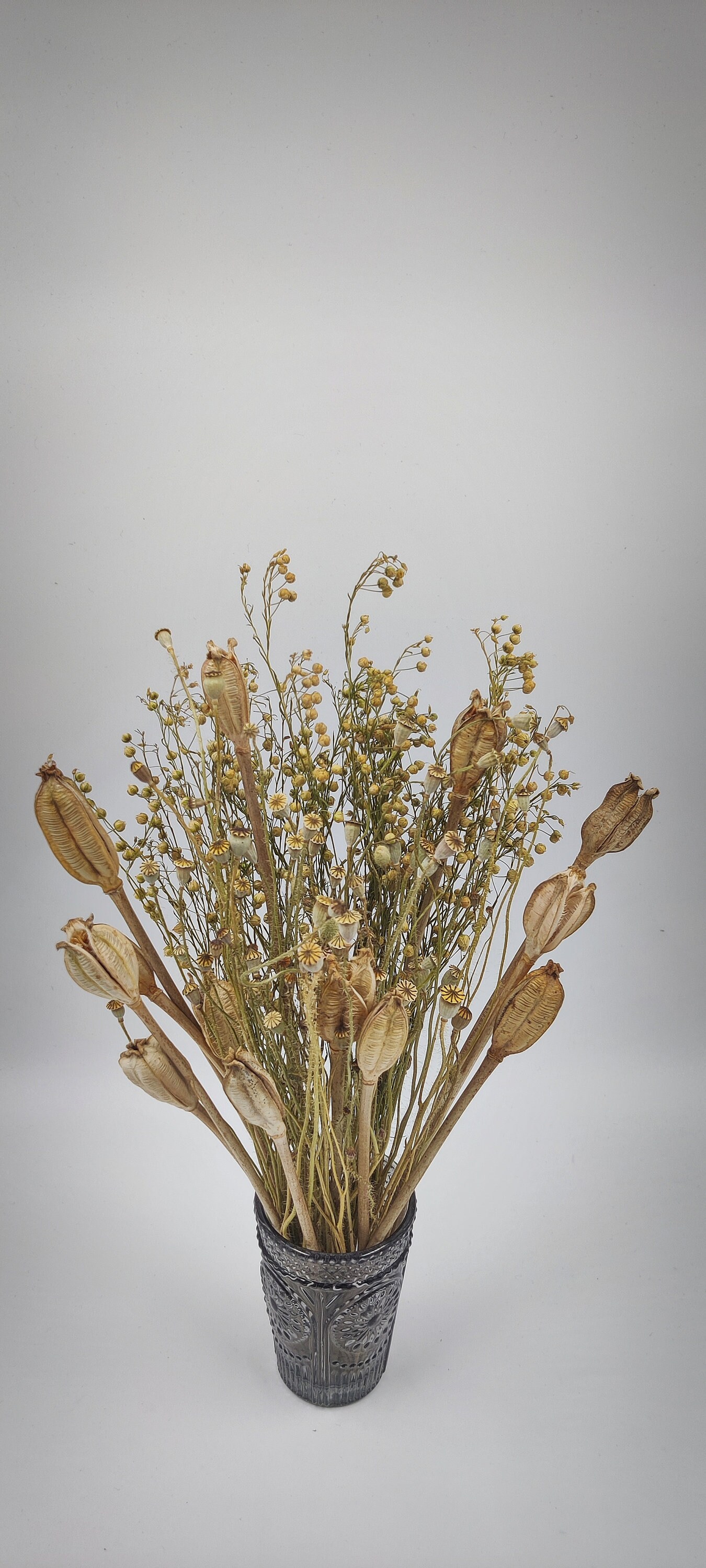 Dried Tulip Seed Pods Dried Plants Dried Flowers Floral Arrangement DIY ...