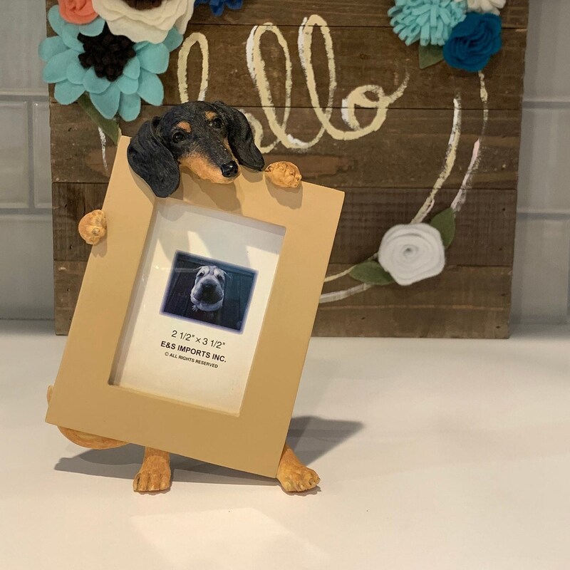 Dachshund Home Decor - Etsy