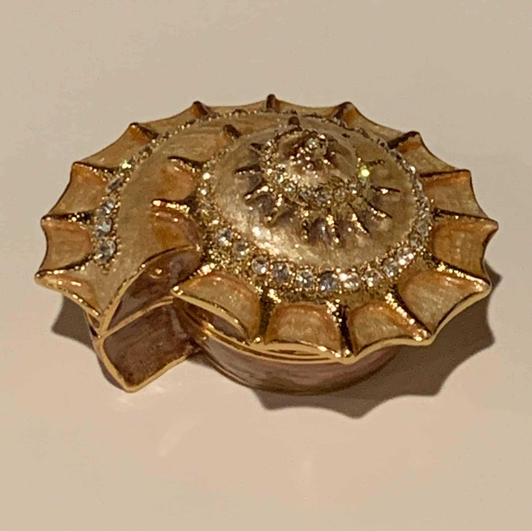 Sea Shell Trinket Box - Etsy