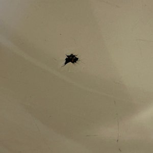 Sheffield Strawberries N Cream Stock Pan | Strawberry Kitchen Decor ...