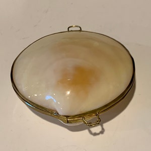 Sea Shell Brass Hinged Jewelry Box | Elegant Sea Shell Trinket Box ...