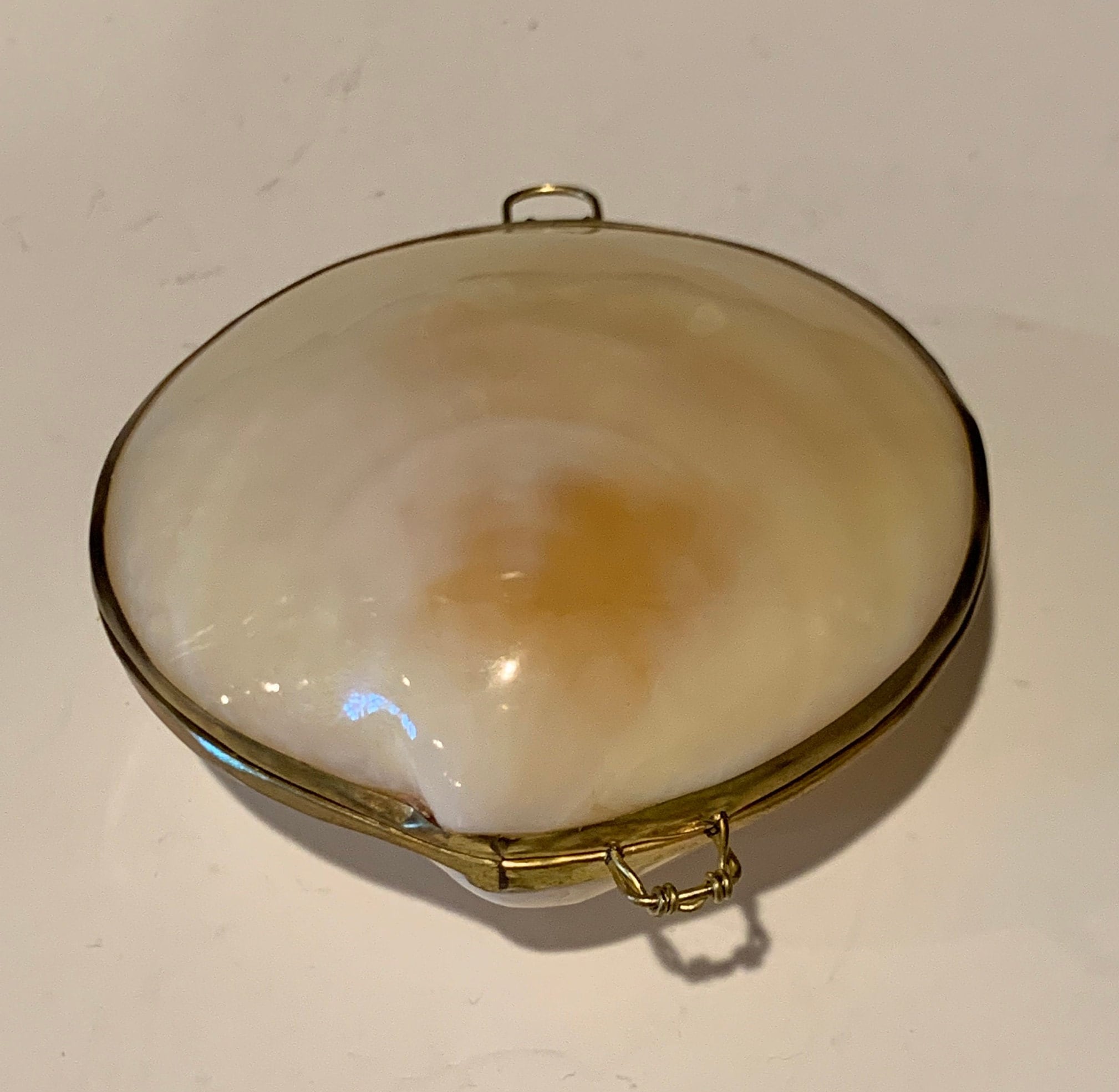 Sea Shell Brass Hinged Jewelry Box Elegant Sea Shell Trinket - Etsy