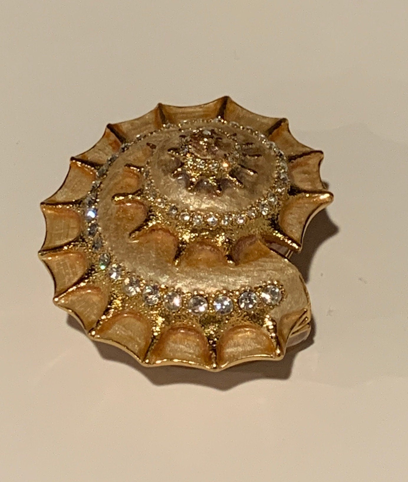 Sea Shell Trinket Box - Etsy