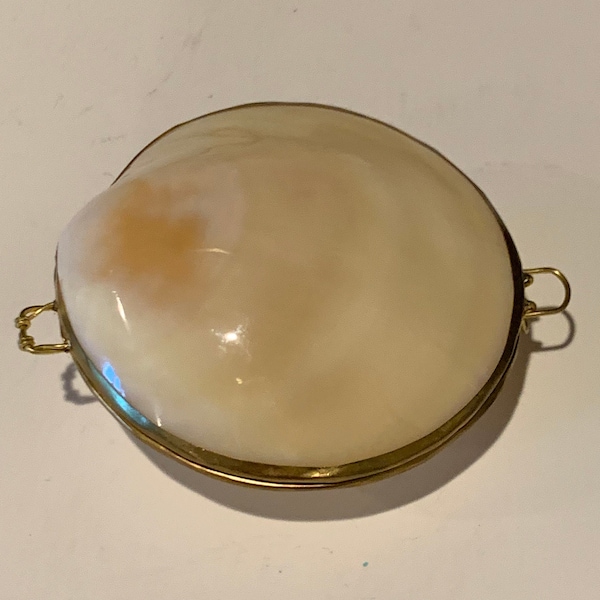 Shell Pill Box - Etsy