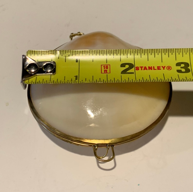 Sea Shell Brass Hinged Jewelry Box Elegant Sea Shell Trinket - Etsy