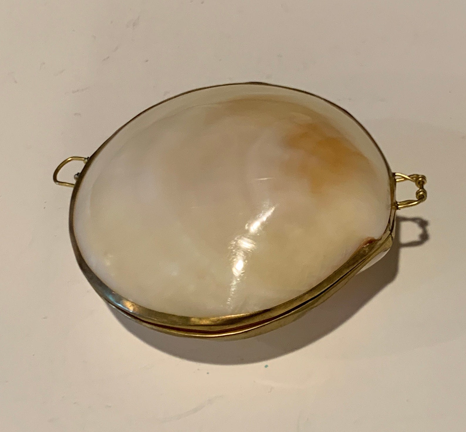 Sea Shell Brass Hinged Jewelry Box Elegant Sea Shell Trinket - Etsy