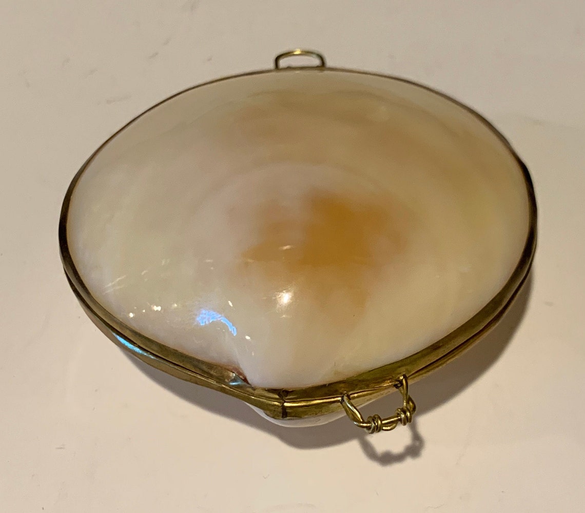 Sea Shell Brass Hinged Jewelry Box Elegant Sea Shell Trinket - Etsy