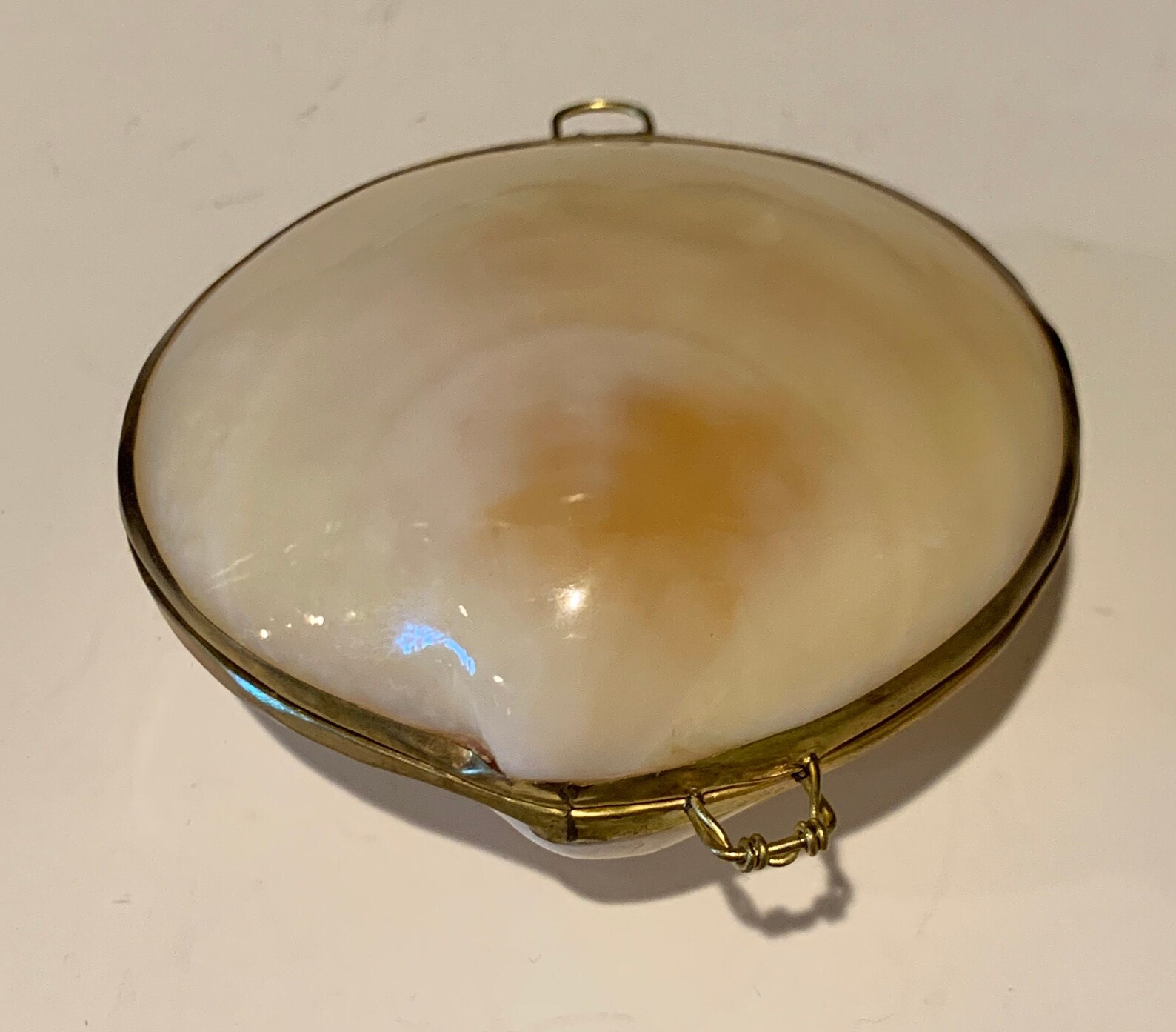 Sea Shell Brass Hinged Jewelry Box Elegant Sea Shell Trinket - Etsy