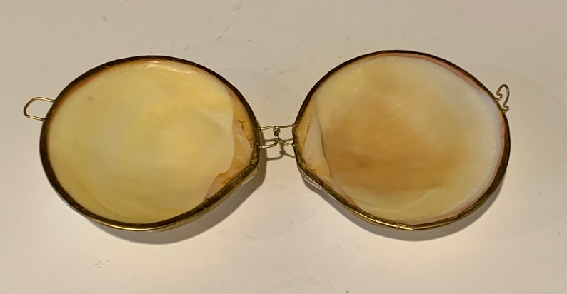 Sea Shell Brass Hinged Jewelry Box Elegant Sea Shell Trinket - Etsy