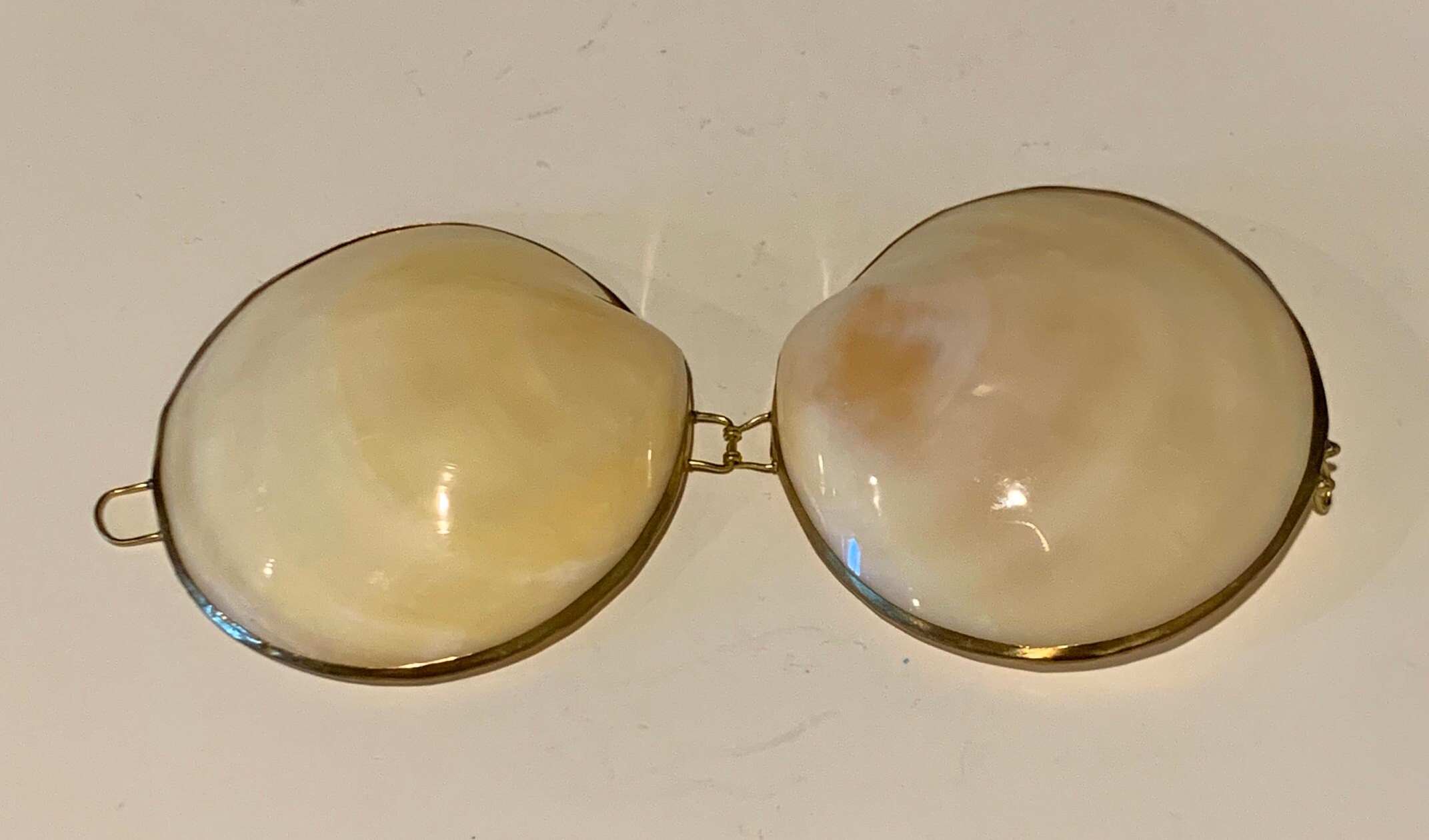 Sea Shell Brass Hinged Jewelry Box Elegant Sea Shell Trinket - Etsy