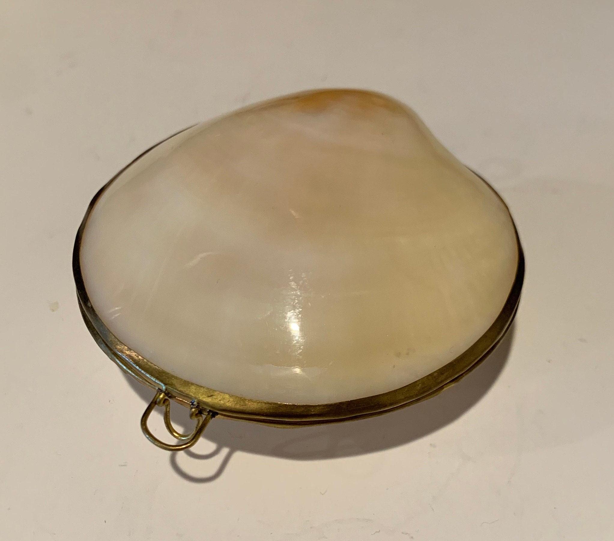 Sea Shell Brass Hinged Jewelry Box Elegant Sea Shell Trinket - Etsy