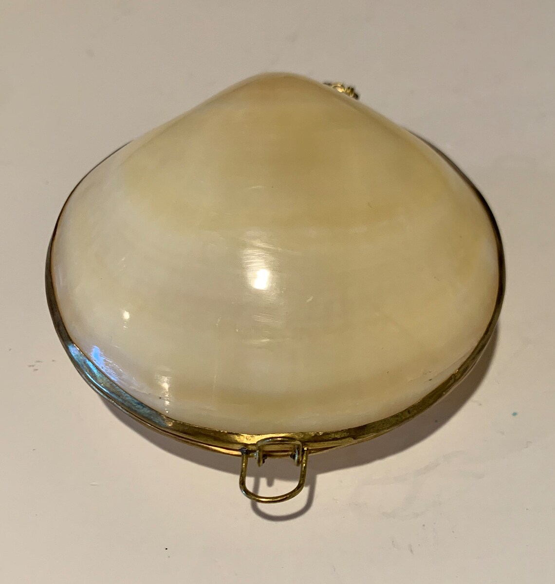 Sea Shell Brass Hinged Jewelry Box Elegant Sea Shell Trinket - Etsy