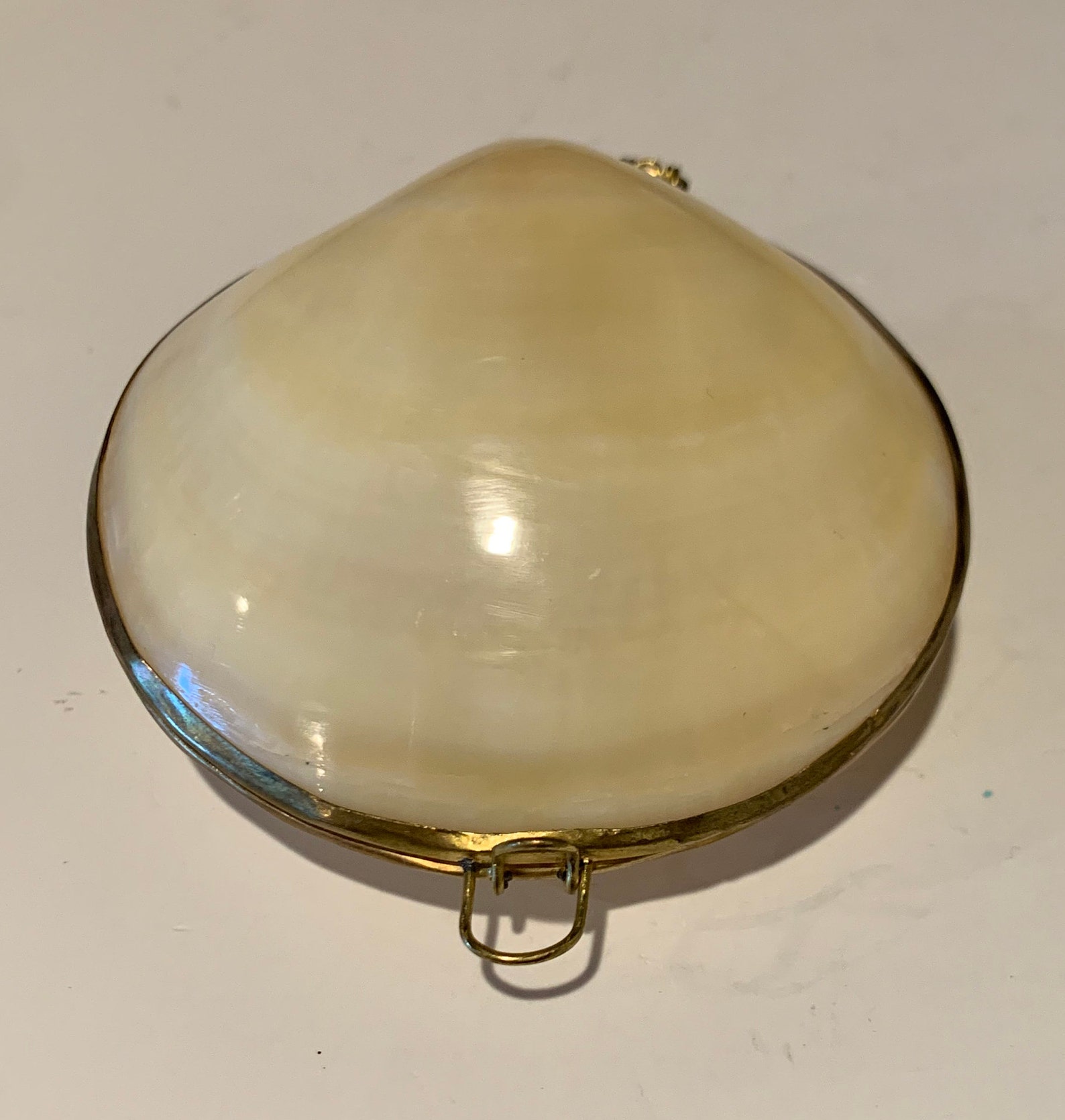 Sea Shell Brass Hinged Jewelry Box Elegant Sea Shell Trinket - Etsy
