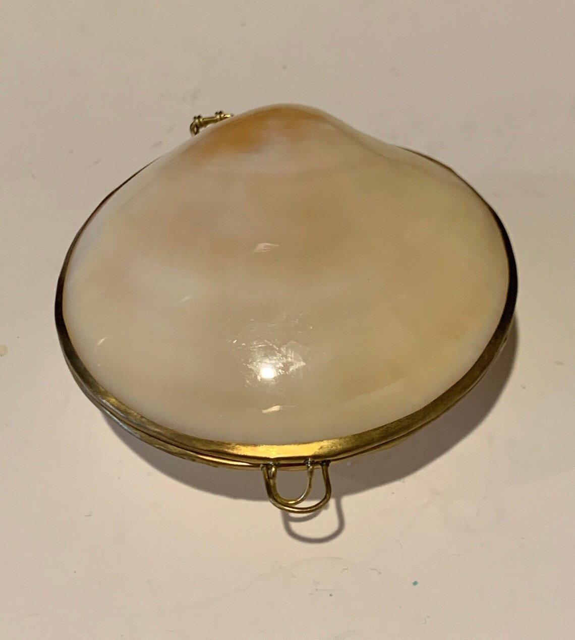 Sea Shell Brass Hinged Jewelry Box Elegant Sea Shell Trinket - Etsy