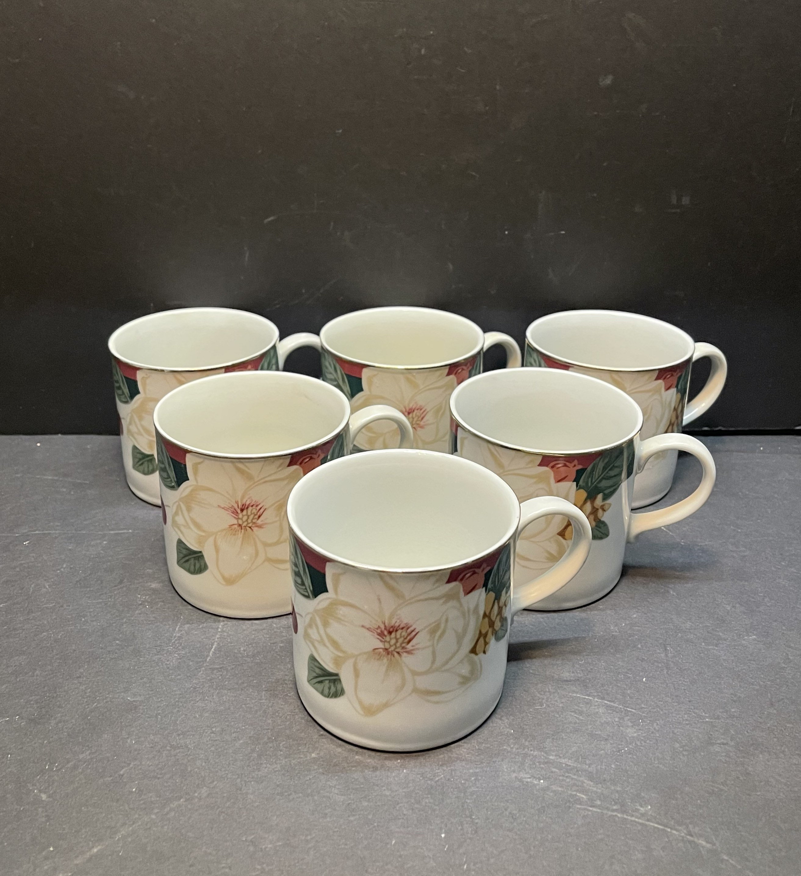 Tienshan Fine China Magnolia Pattern Set of 4 Dinner Plates 10.5 ...