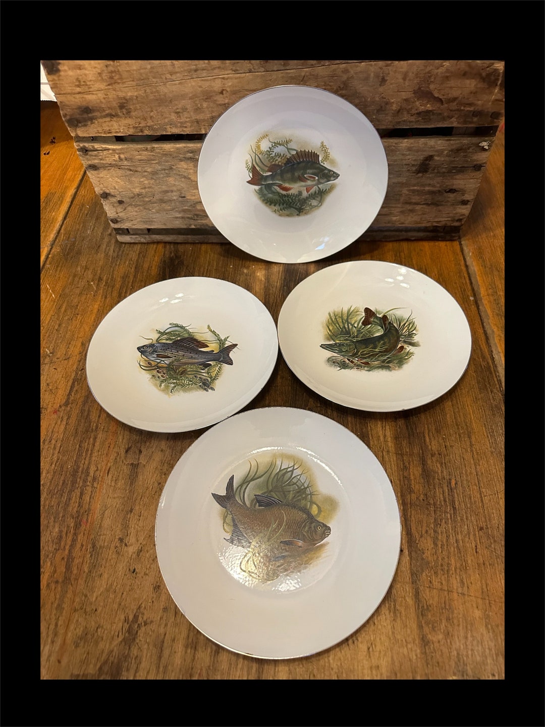 Vintage Norwegian Enamelware Plates Silver Back Fish Theme - Etsy