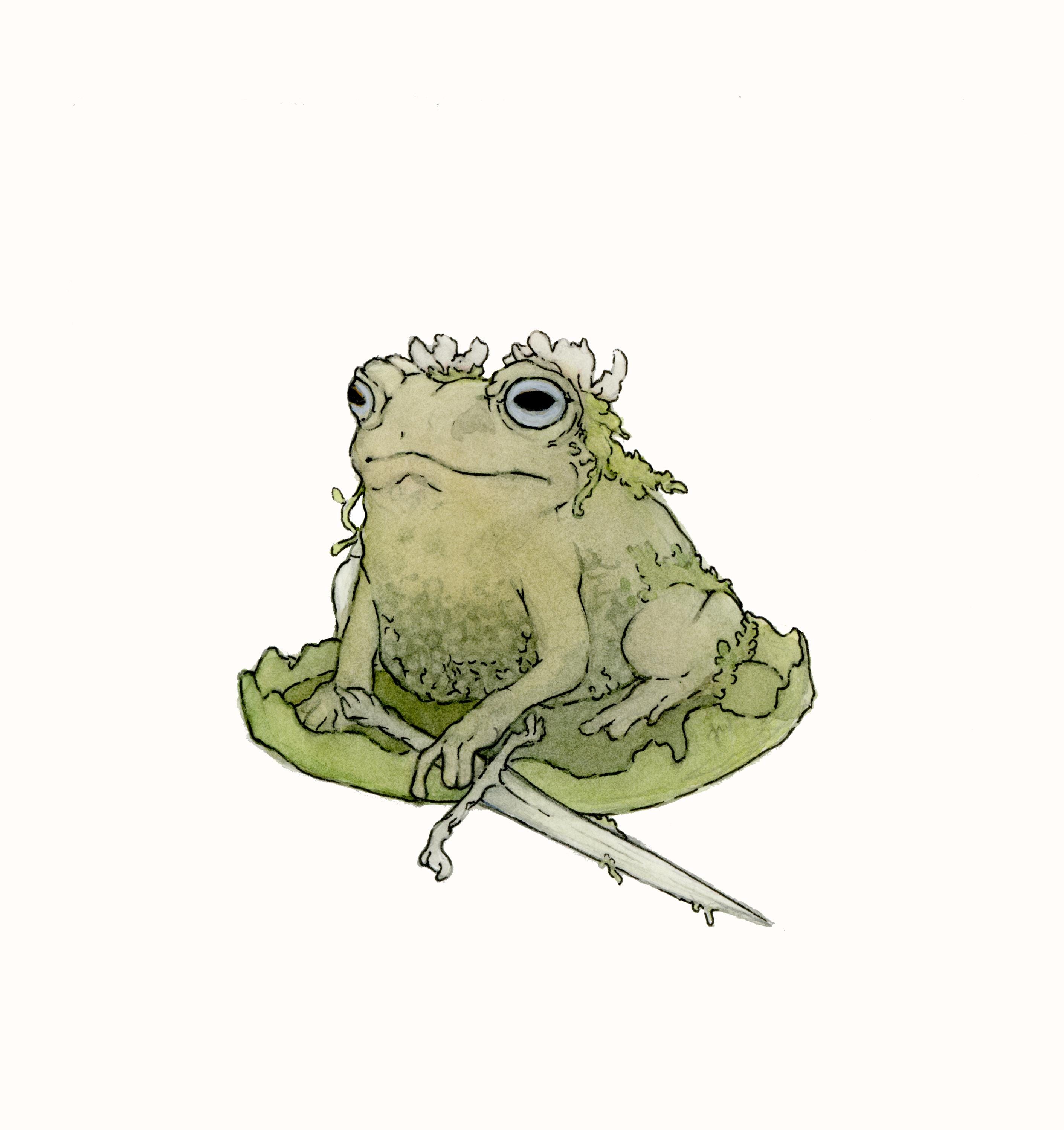 Lady of the Lake Frog Art Print, Arthurian Legend, Folklore, Fairytale ...