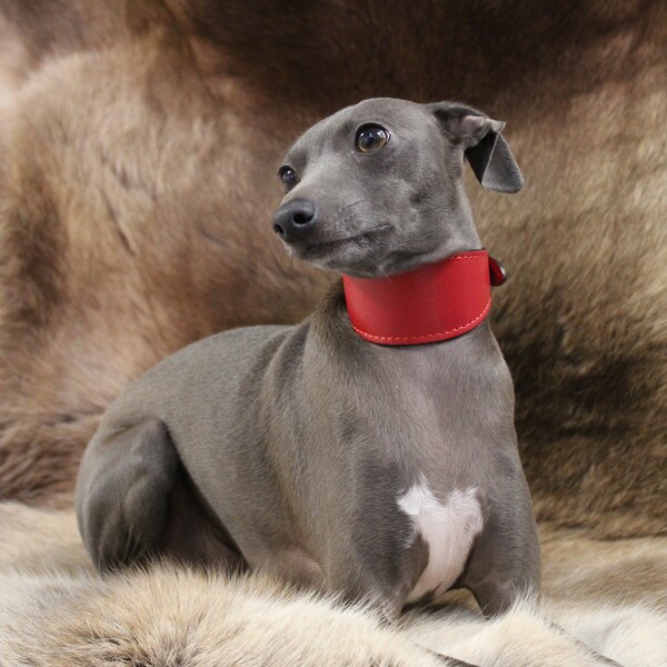 Sighthound Collar - Etsy