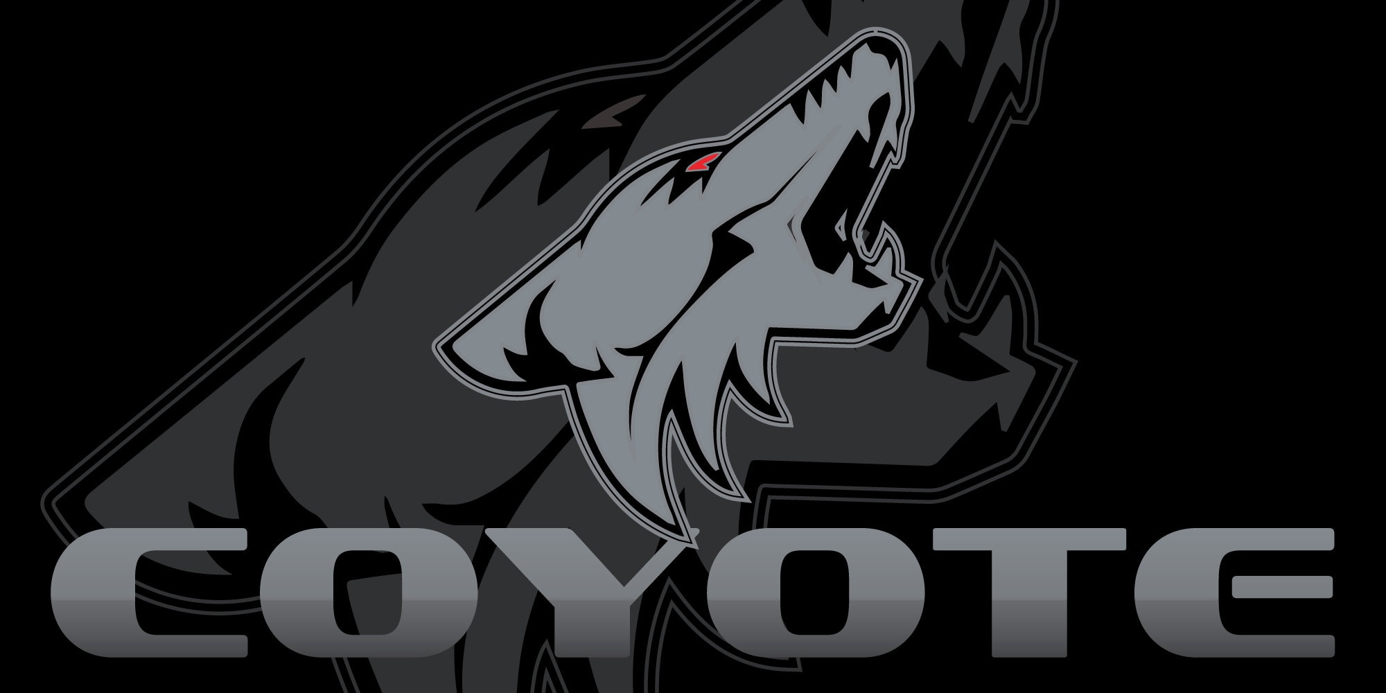 Coyote Banner, Ford Mustang, Howling Coyote, Black and White, Godzilla ...