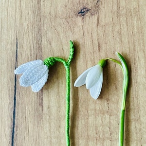 Digital Crochet Pattern Snowdrop - Etsy