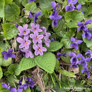 Digital Crochet Pattern Wild Violet - Etsy