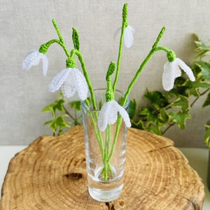 Digital Crochet Pattern Snowdrop - Etsy