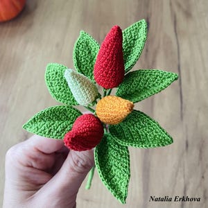 Digital Crochet Pattern Chili Pepper PDF (english Language Only) - Etsy