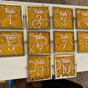 Citrus Table Numbers – Hand-lettered Vinyl | Grapefruit, Orange, Lemon ...
