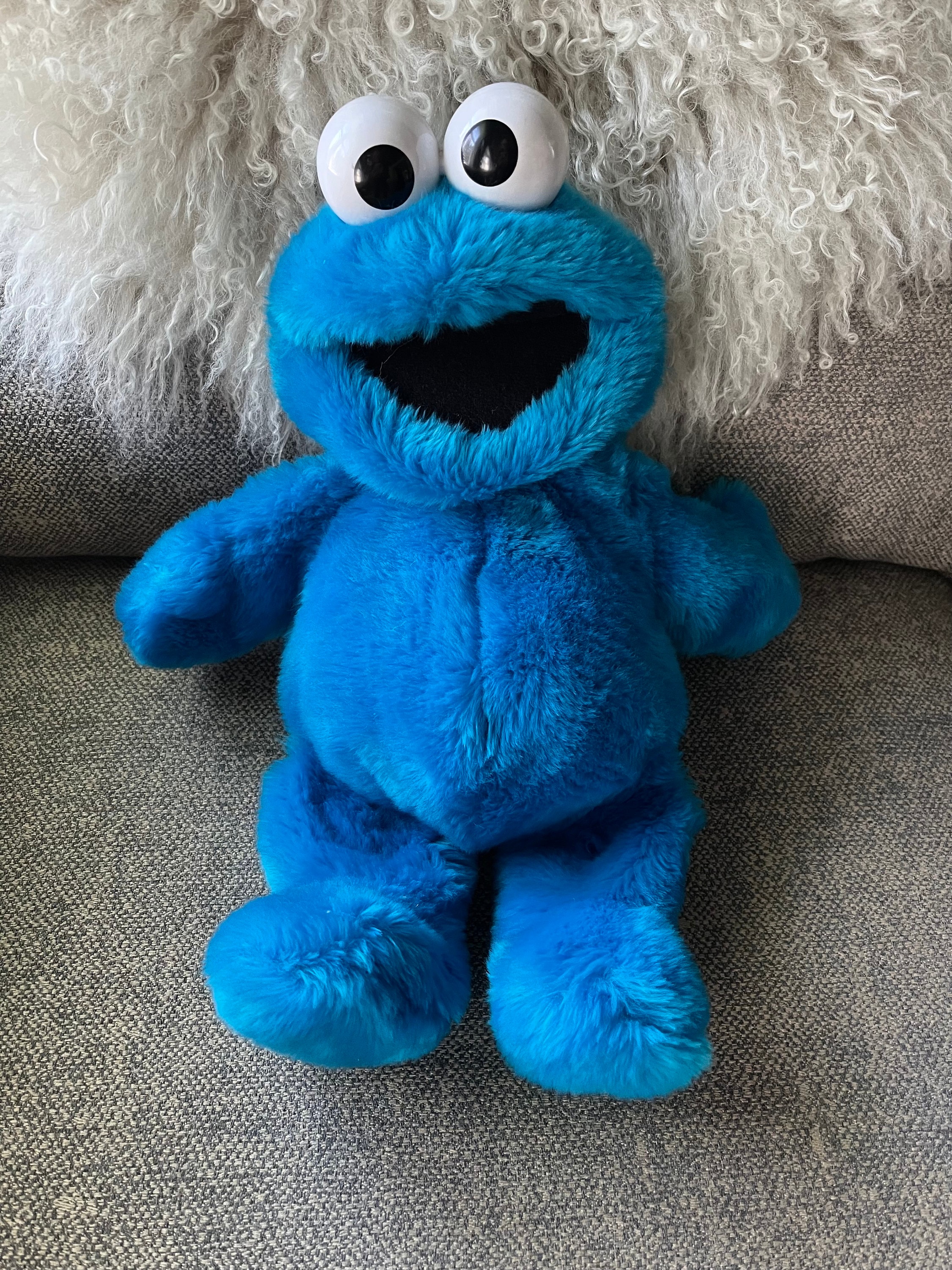 1980s Cookie Monster Puppet - Etsy