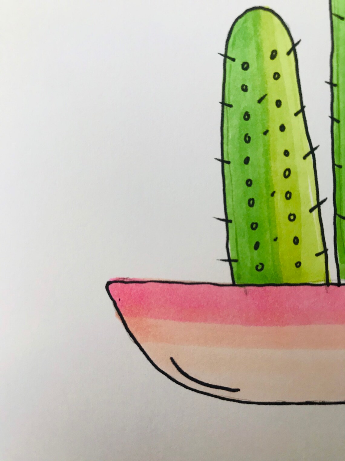 Plant Cacti Original Pen and Ink Drawing Illustrations | Etsy