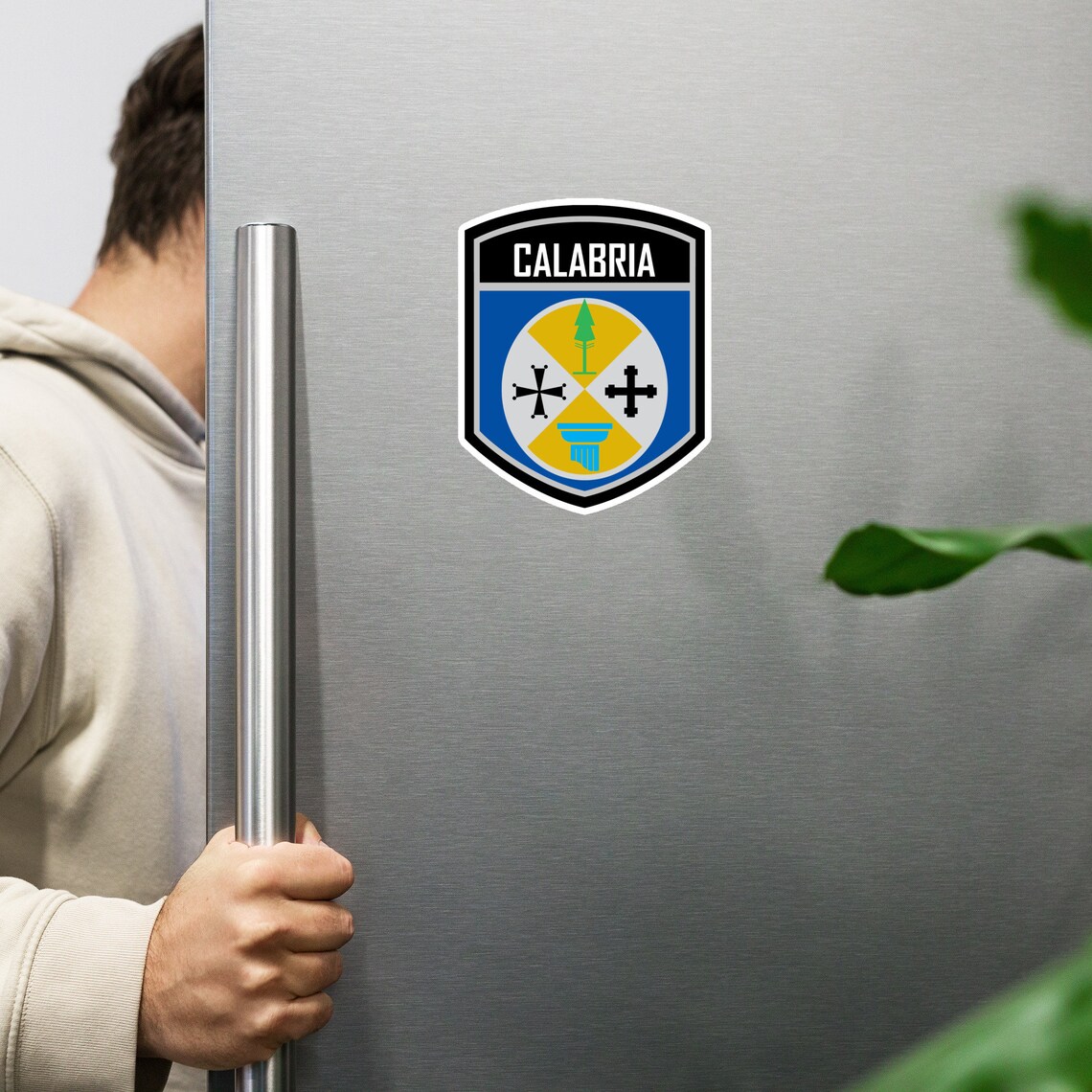 Calabria Flag Emblem Magnet - Capture the Beauty of Southern Italy! - Etsy