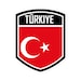 Türkiye Flag Emblem Stickers Show Your Turkish Pride With Style - Etsy