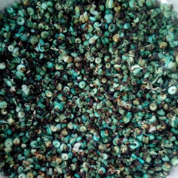 Periwinkle Beads - Etsy