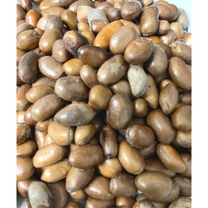 Peppersoup Spice. Ereh . Ehuru. African Calabash Nutmeg - Etsy