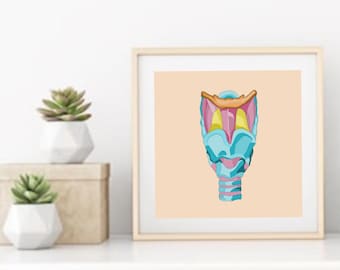 Larynx Anatomy LABELLED - Etsy UK