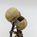 Dbd Totem Boon / Hex / Dull - Etsy