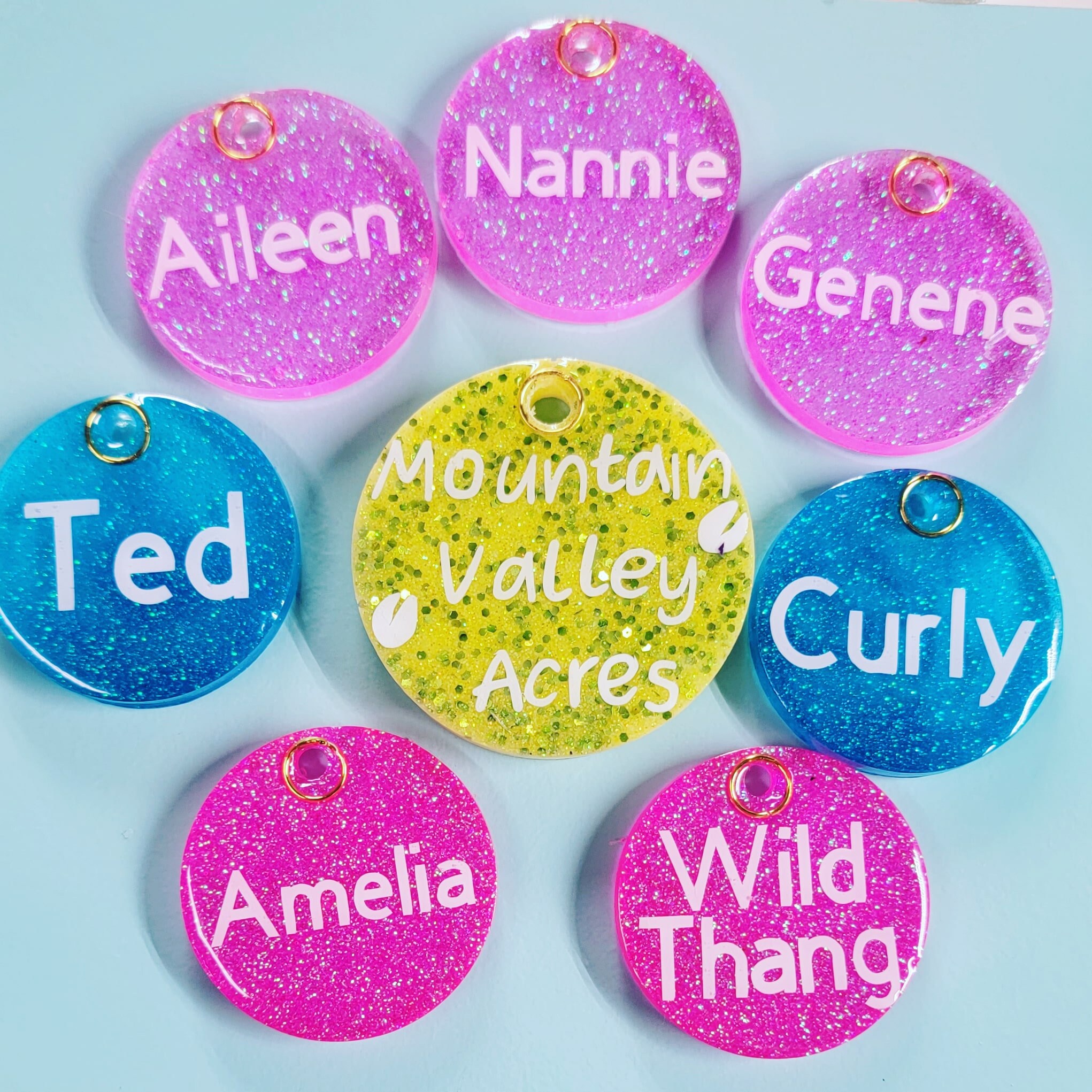 Farm Animal Name Tag Pet Name Tag Goat Tag Sheep Tag Business Keychain ...