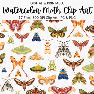 Watercolor Moth Clipart | Butterfly Clipart Set | Luna Moth Clipart ...