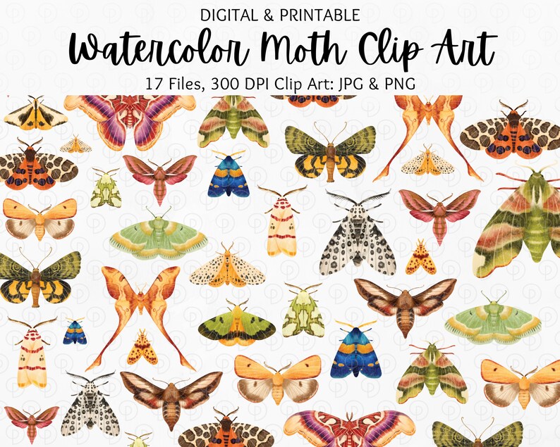 Watercolor Moth Clipart | Butterfly Clipart Set | Luna Moth Clipart ...