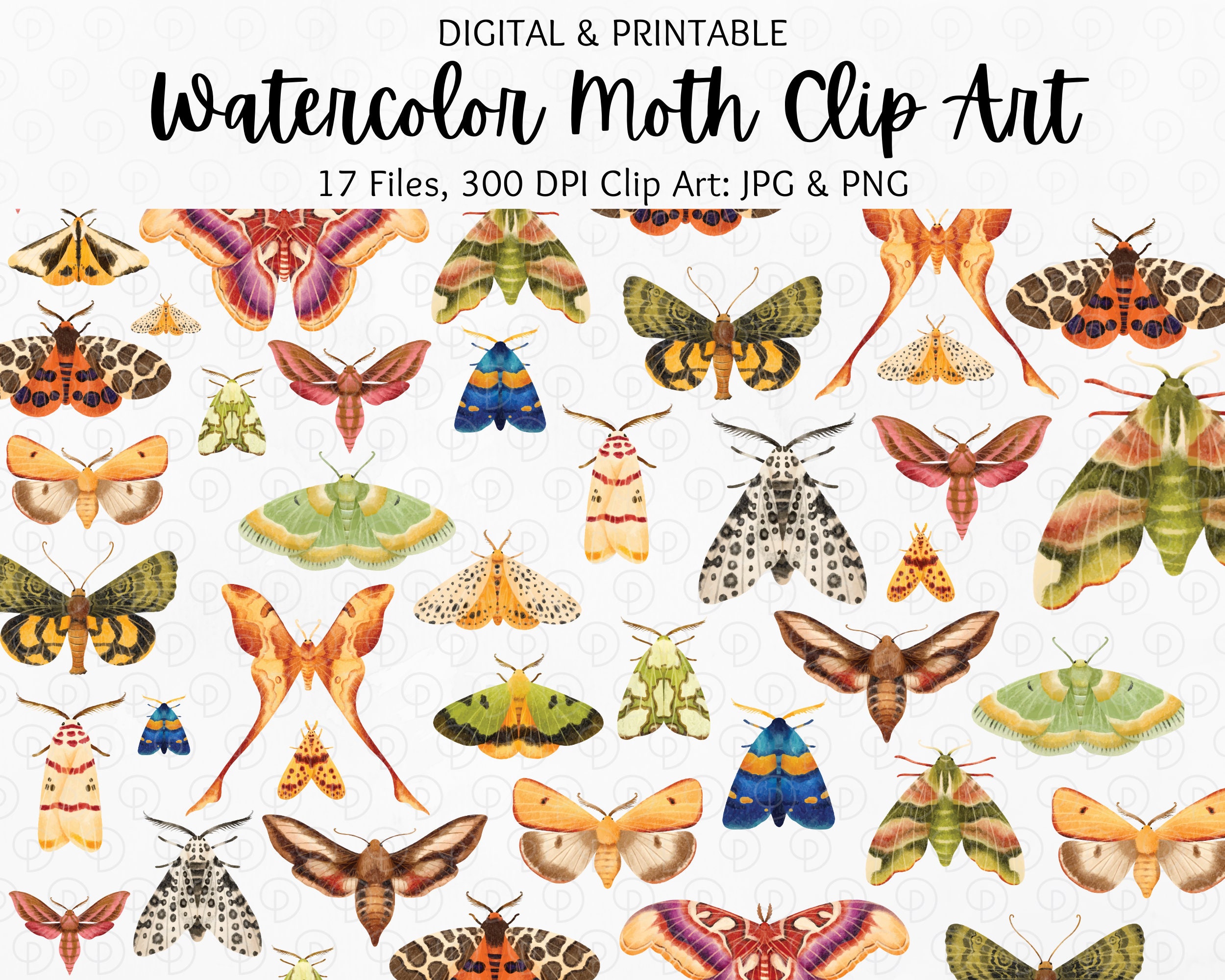Watercolor Moth Clipart | Butterfly Clipart Set | Luna Moth Clipart ...