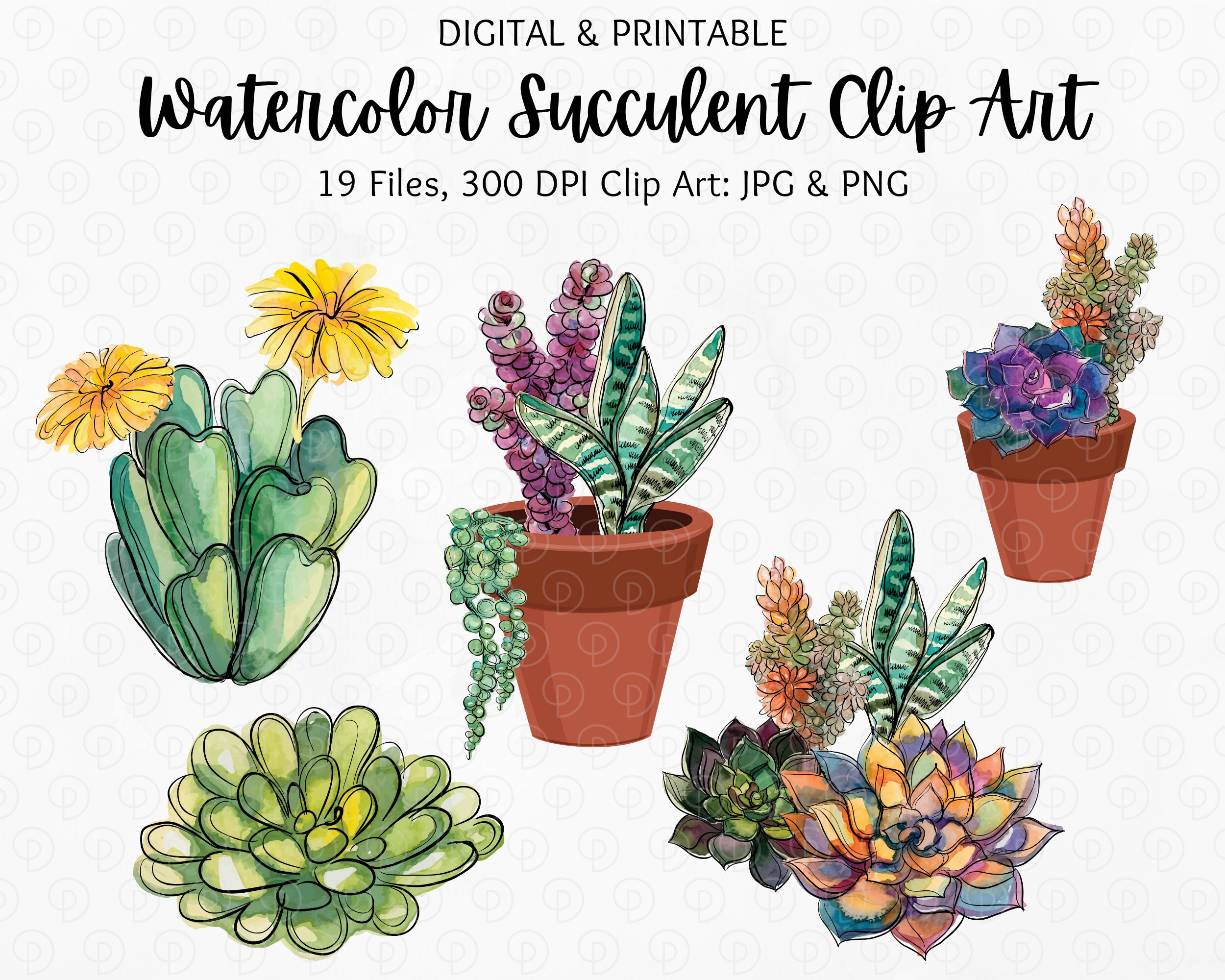 Watercolor Succulent Clipart Cactus Clipart Set Plant Clipart Succulent ...