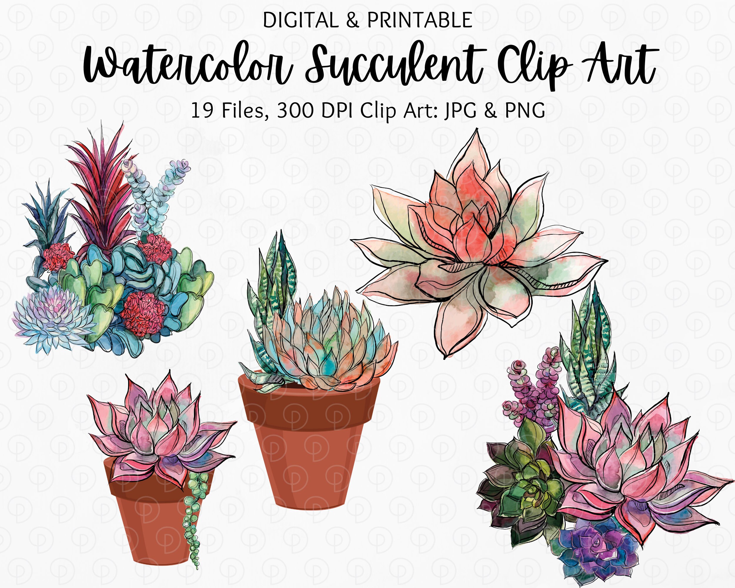 Watercolor Succulent Clipart Cactus Clipart Set Plant Clipart Succulent ...