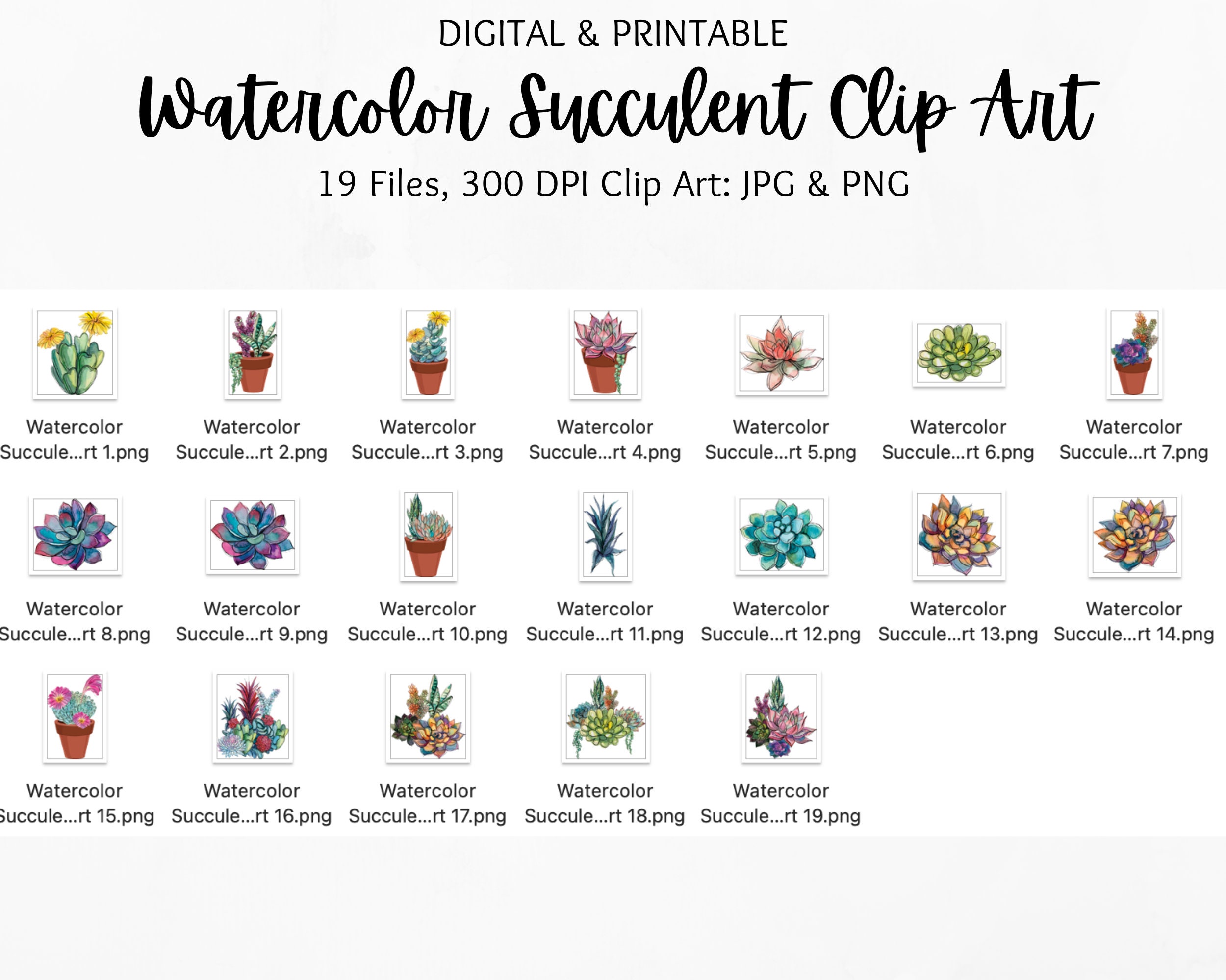 Watercolor Succulent Clipart Cactus Clipart Set Plant Clipart Succulent ...