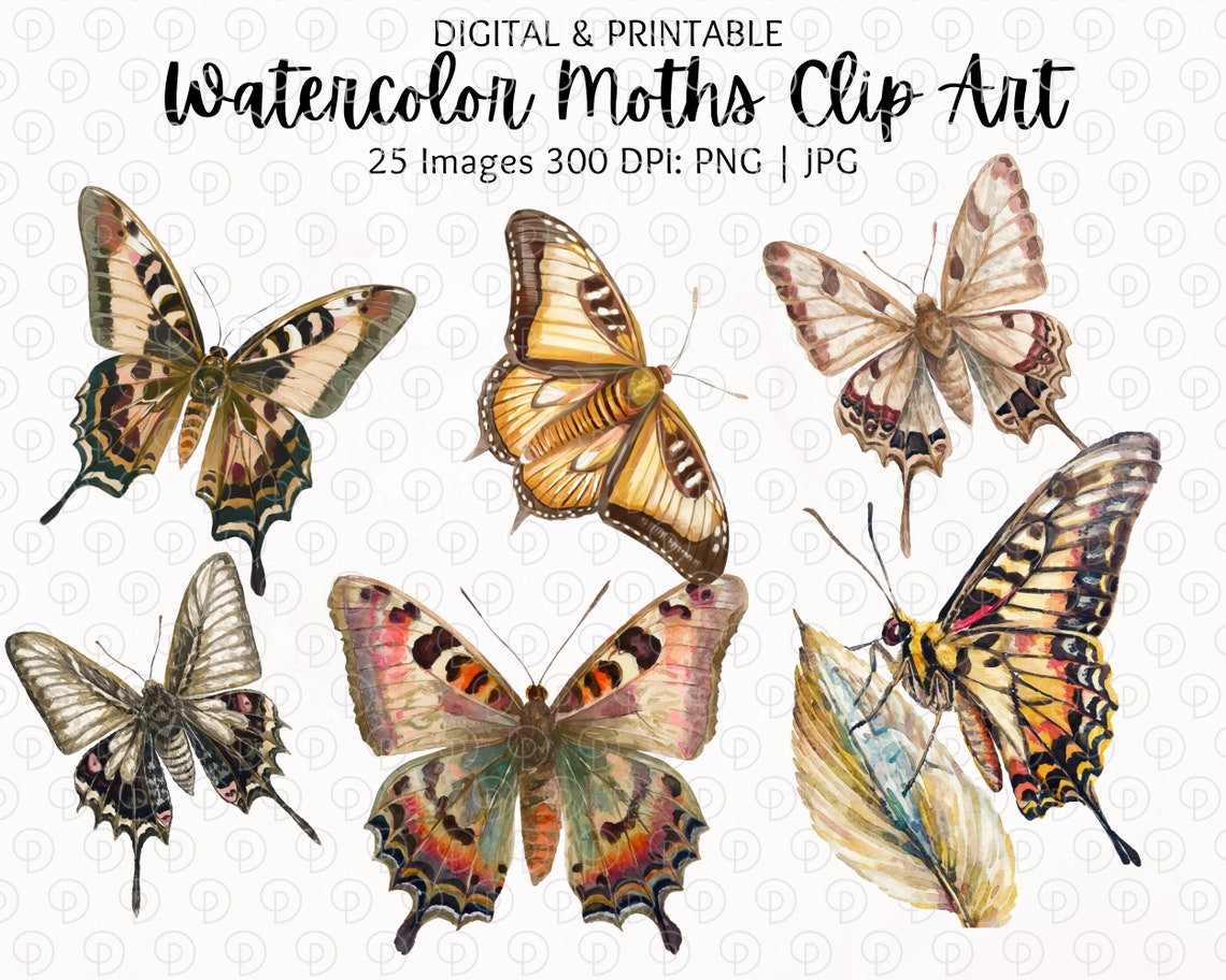 Watercolor Moth Clipart Butterfly Clipart Set Luna Moth Clipart Atlas ...