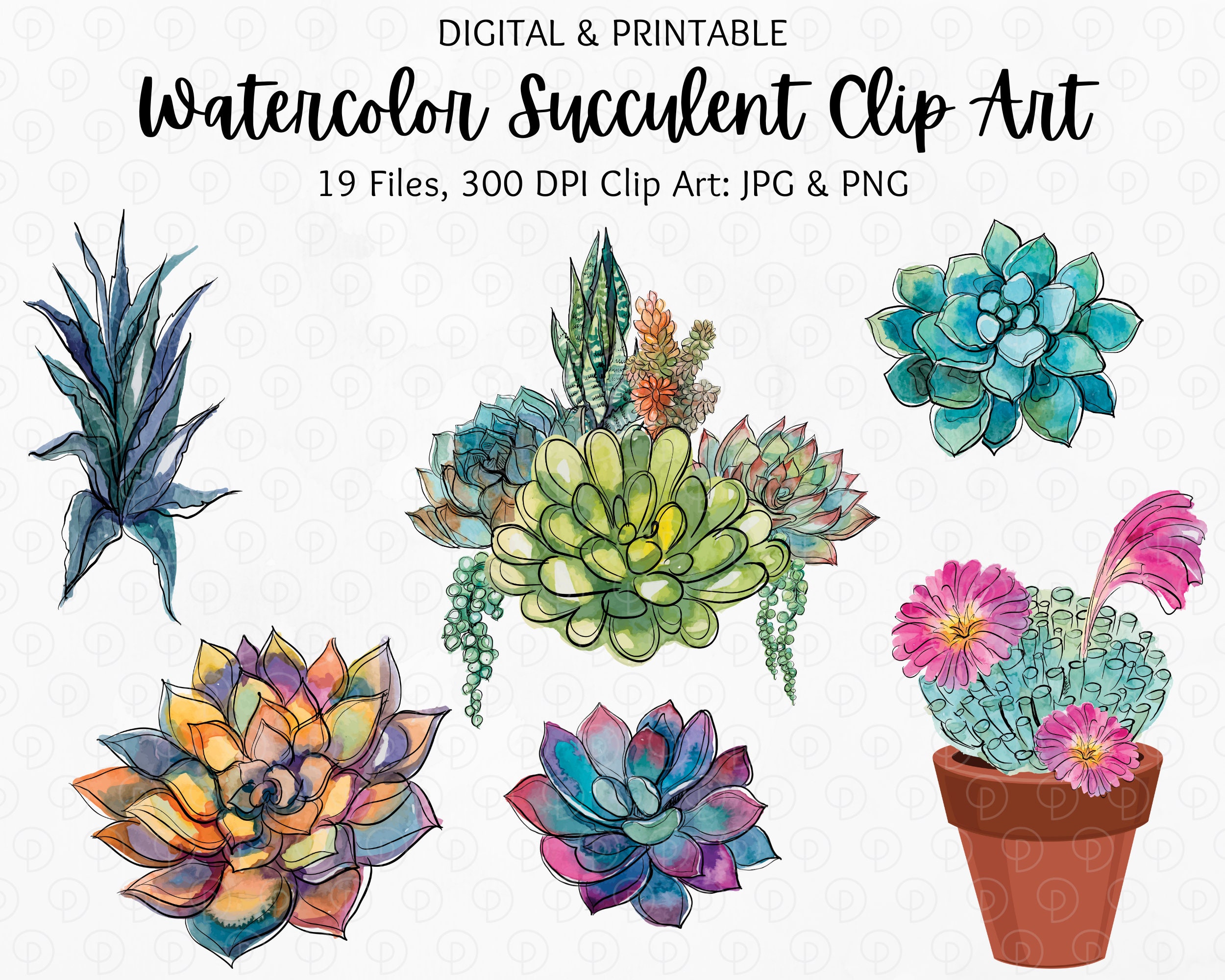 Watercolor Succulent Clipart Cactus Clipart Set Plant Clipart Succulent ...